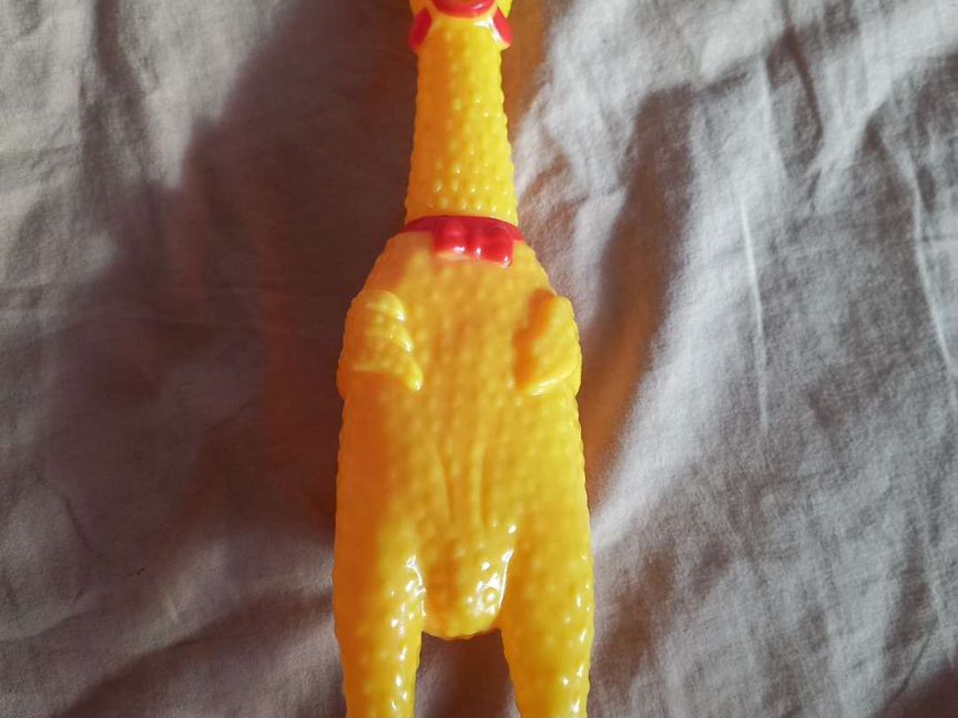 Курица пищалка