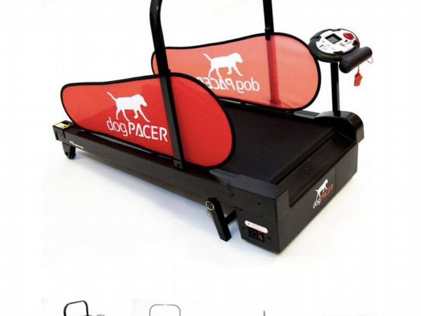 Беговая дорожка для собак