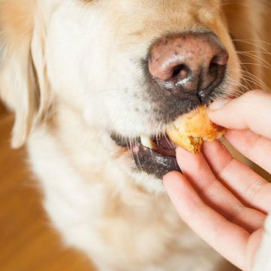 Вкусняшки фермерские для собак