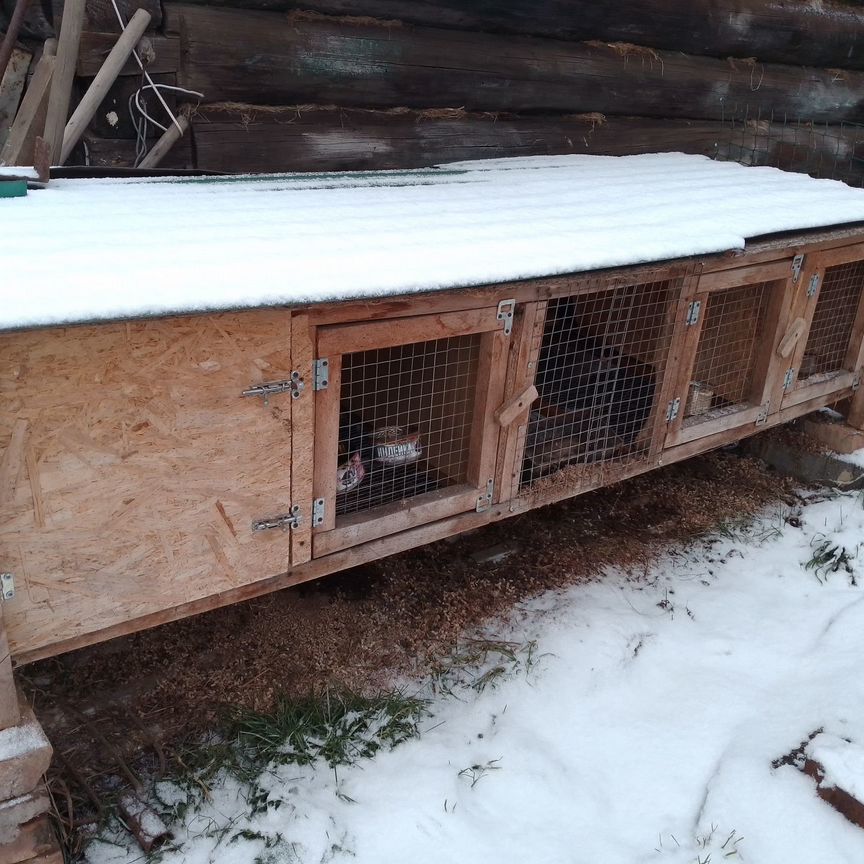 Клетка для кроликов с маточником