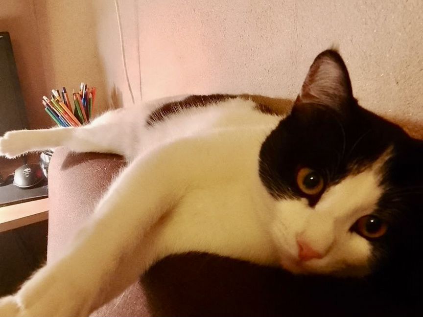 В ответственные руки