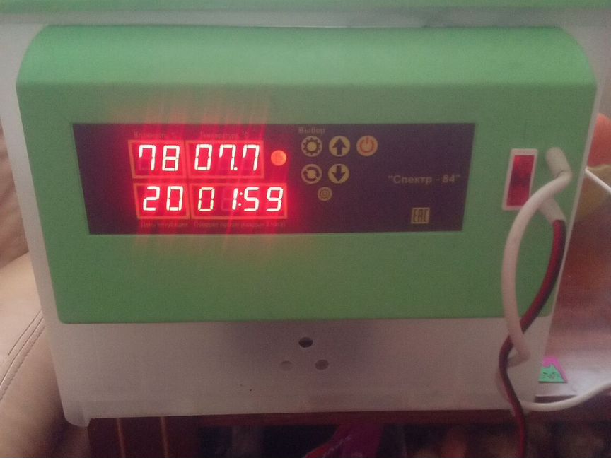 Инкубатор для яиц автоматический бу