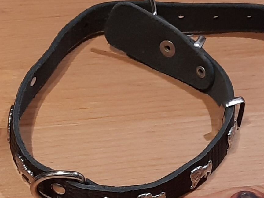 Ошейник натуральная кожа
