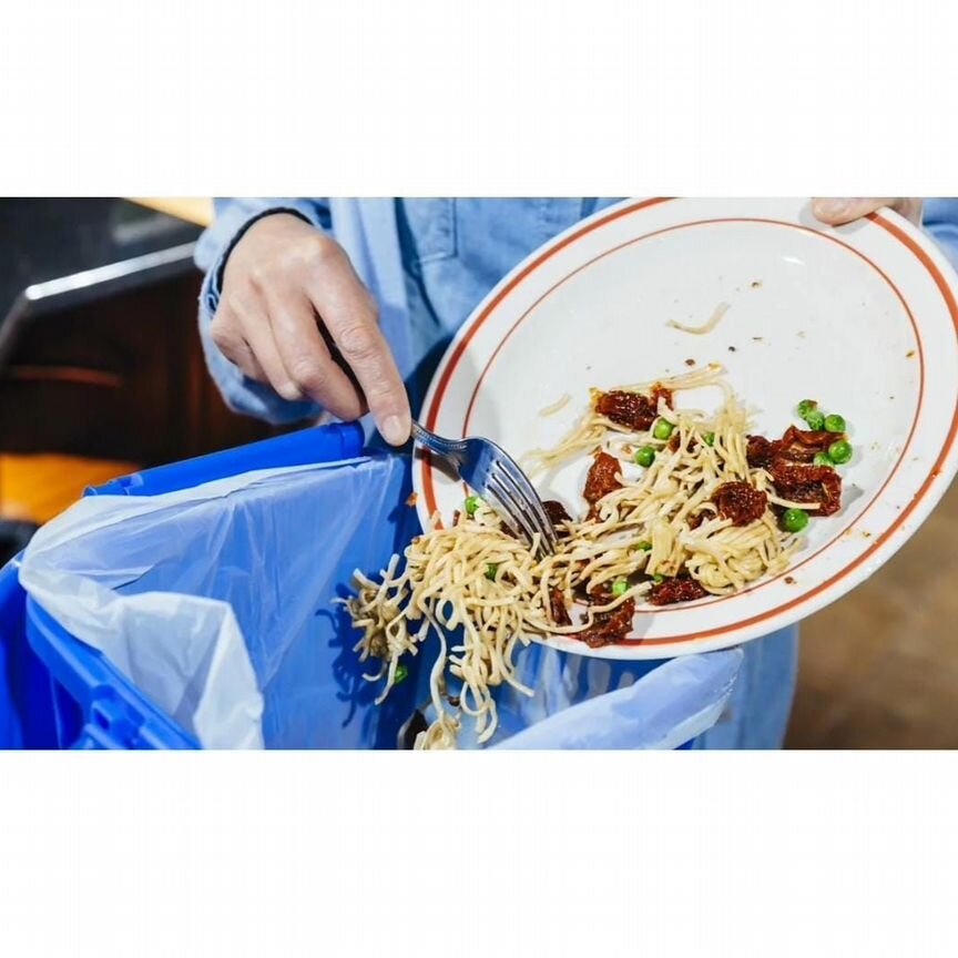 Пищевые отходы для животных