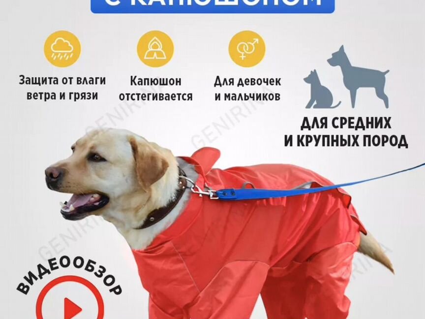 Комбинезон дождевик для собаки