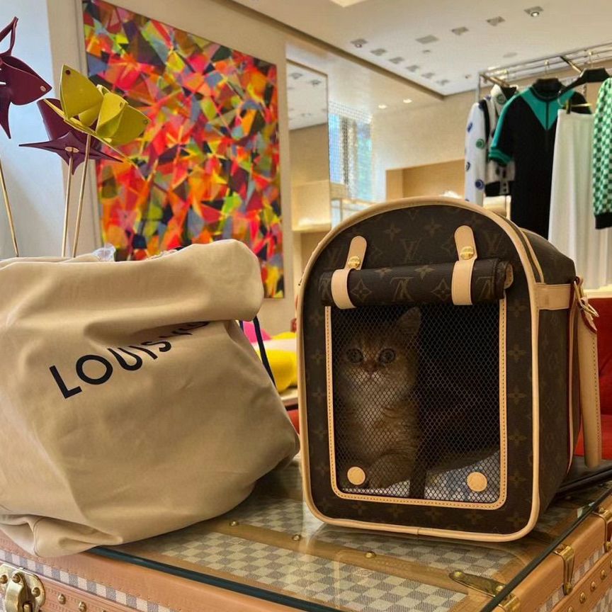Переноска для животных Louis Vuitton под заказ