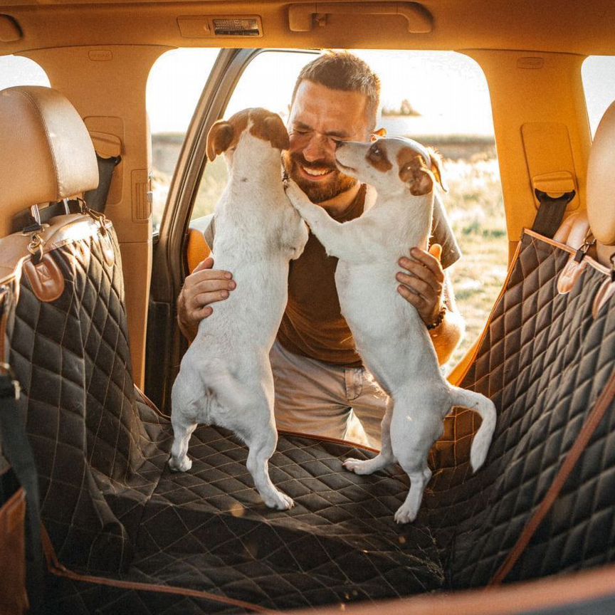 Автомобильный гамак