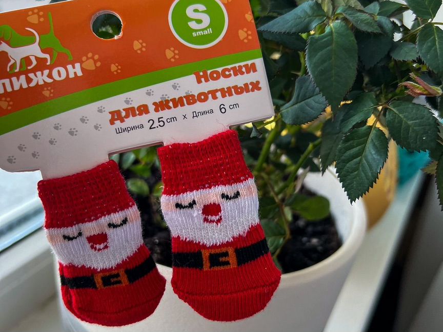Новые носочки для животных