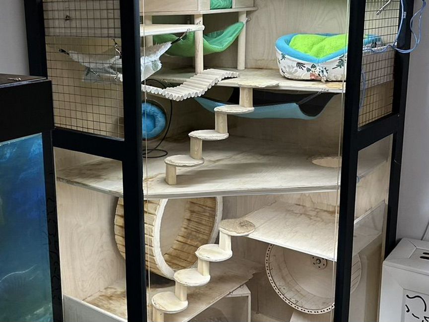 Витрина для грызунов с белками Дегу