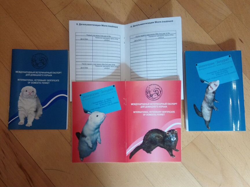 Ветеринарный паспорт для хорькв