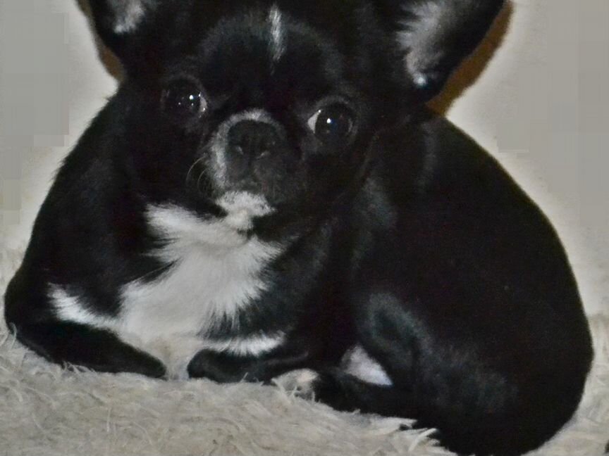 Взрослая мини девочка