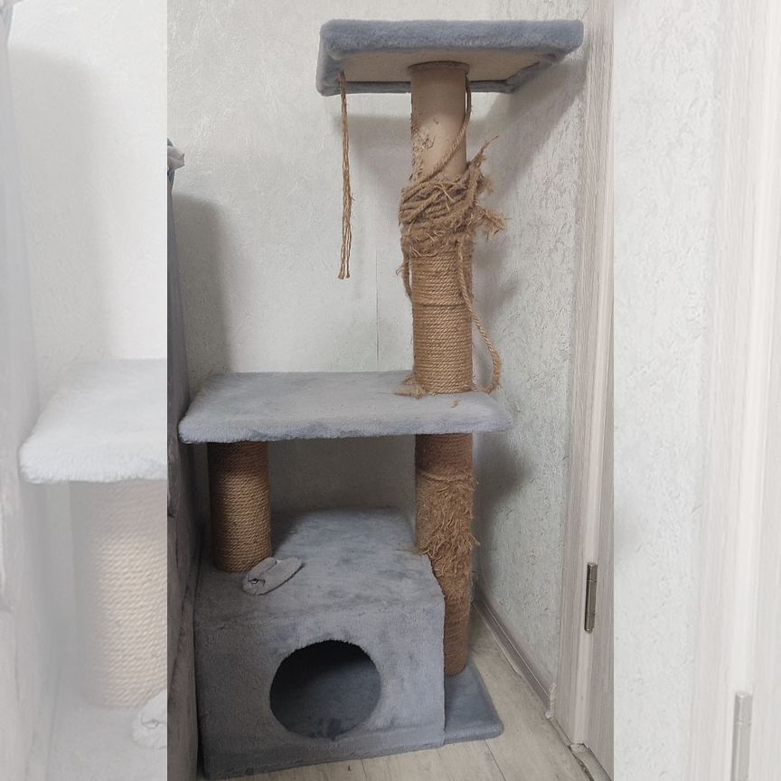 Когтеточка, домик для кошки