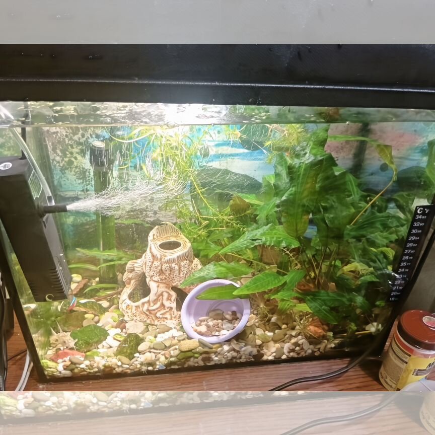 Аквариум 30 литров