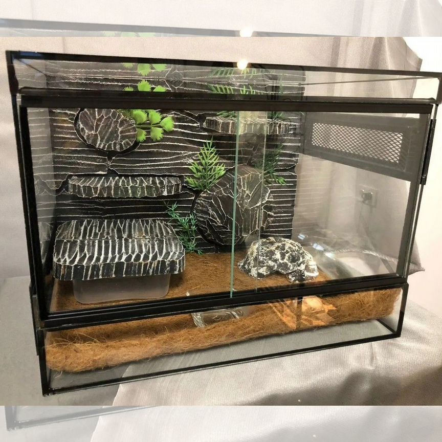 Террариум для эублефара бу