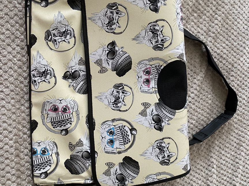 Переноска, лоток, кошачьи мелочи