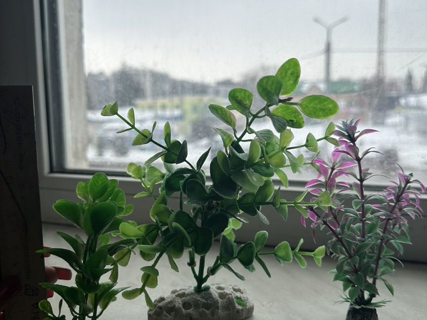 Аквариумные растения искусственные