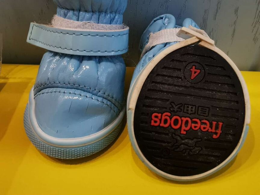 Одежда и обувь для животных