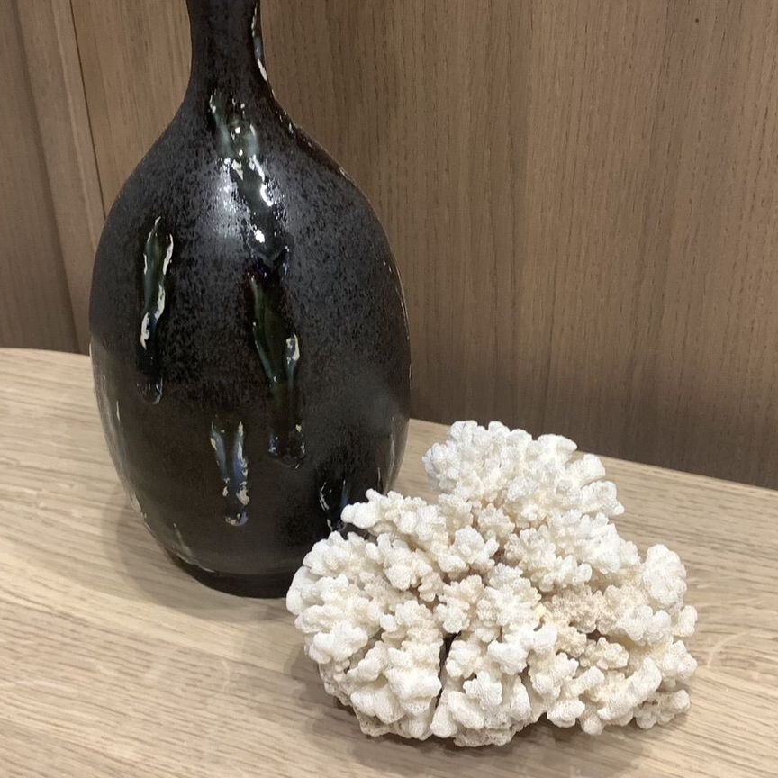 Морской коралл