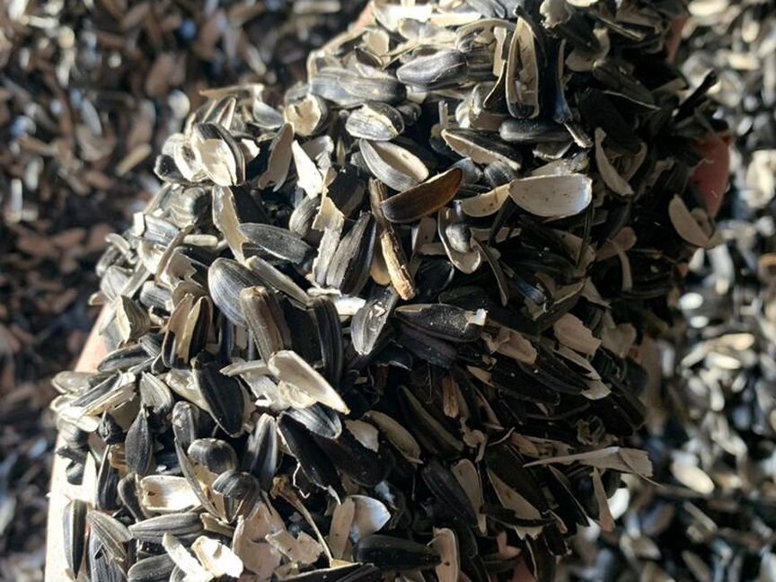 Отходы подсолнечника