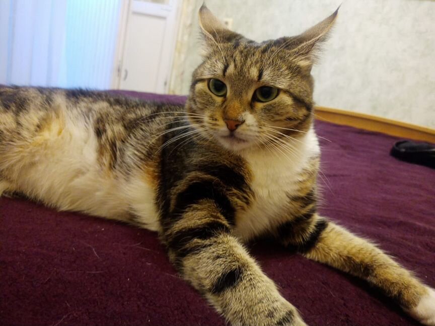 Красотка Соня ищет заботливые ручки