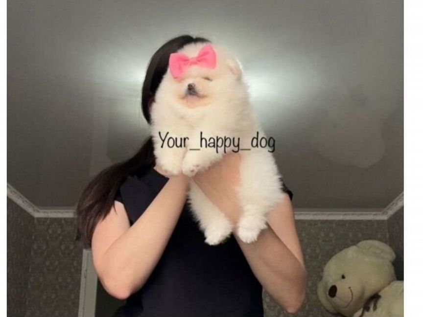Девочка