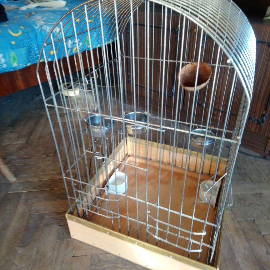 Клетка