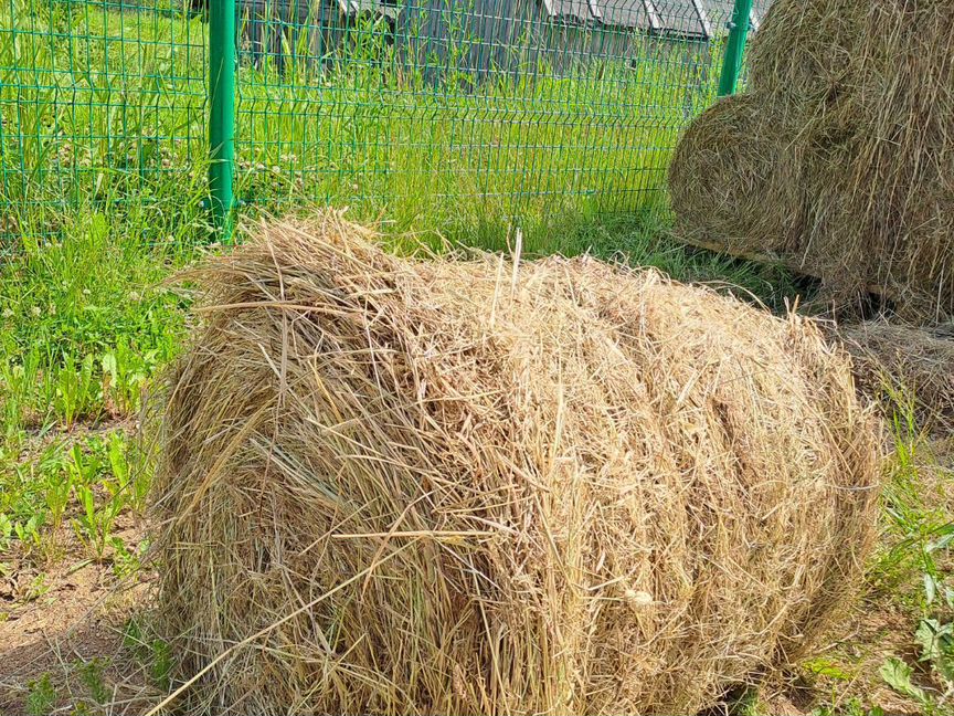 Сено в мини рулонах