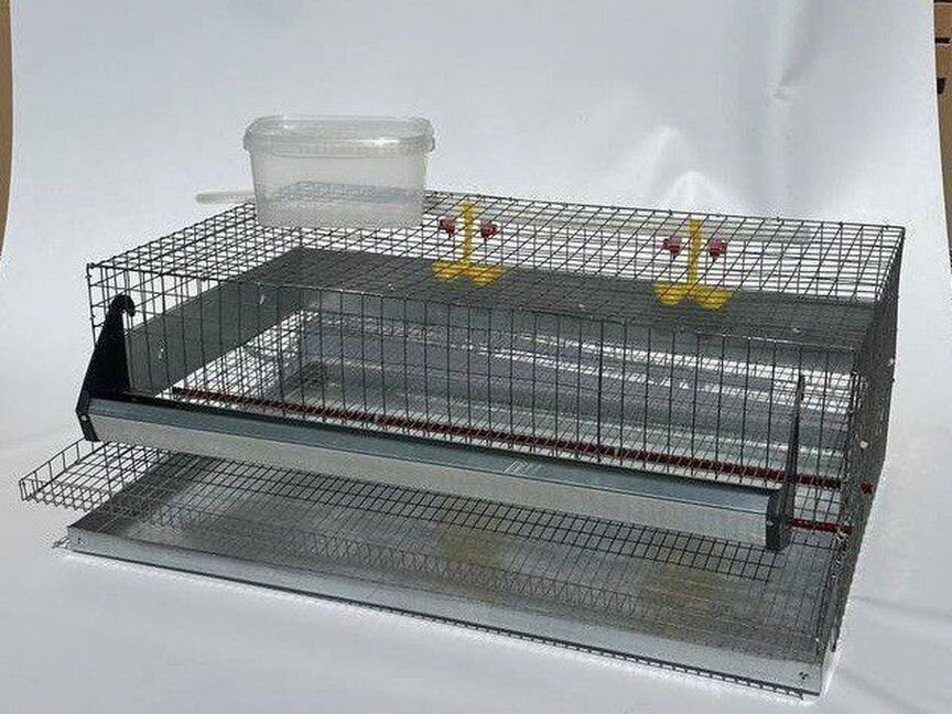 Клетка для перепелов на 30 голов