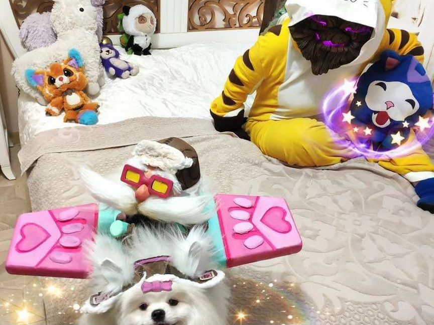 Косплей костюм для собаки Корки на корги