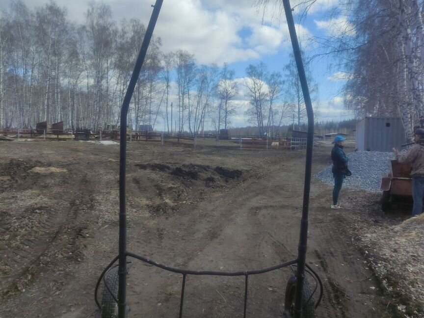 Качалка рабочая для лошади