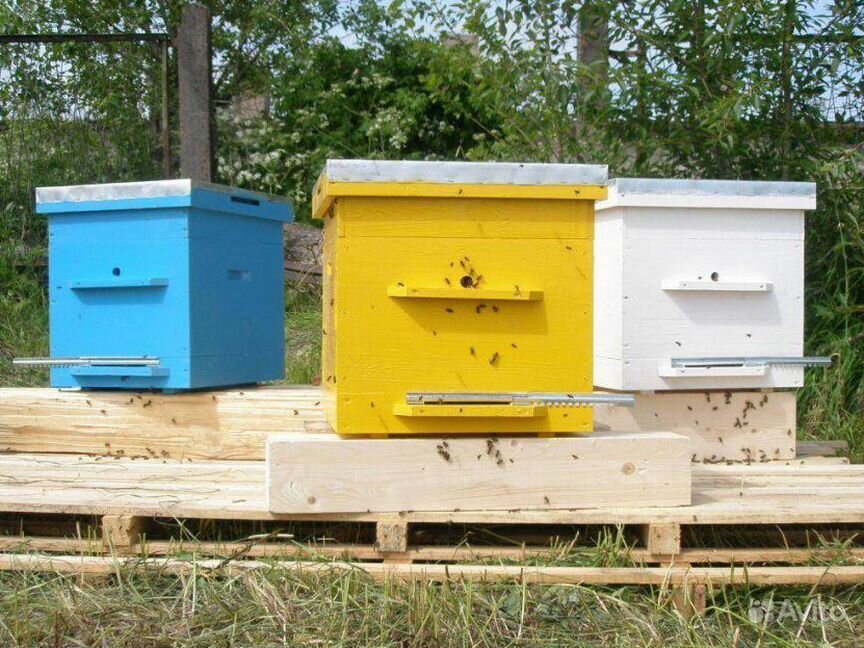 Продам улья