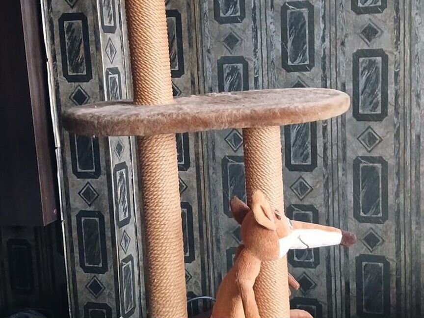 Отдам когтеточку