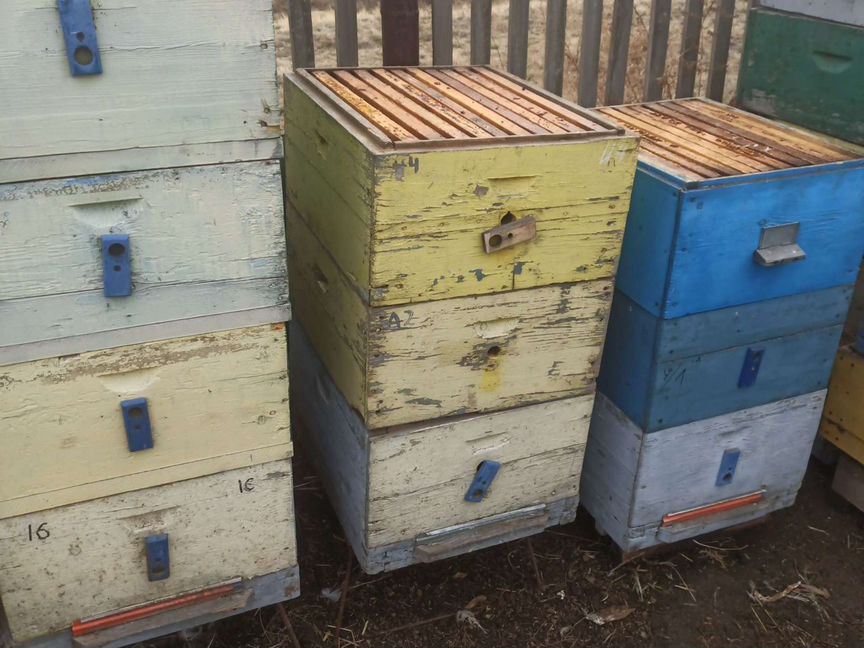 Улей для пчел