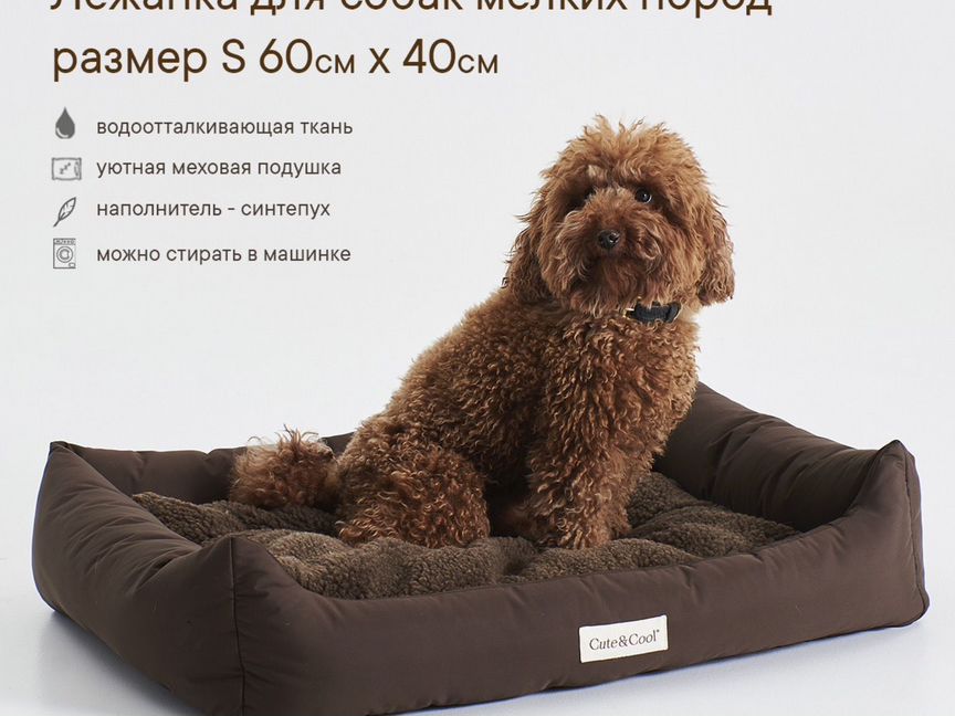 Лежанка для собак новая cute&cool