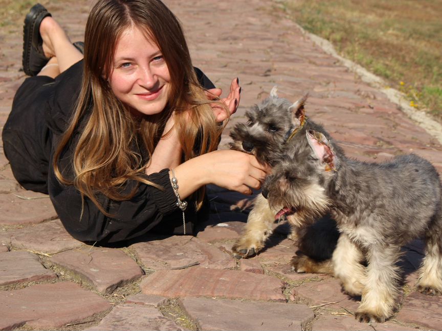 Самые маленькие служебные собаки