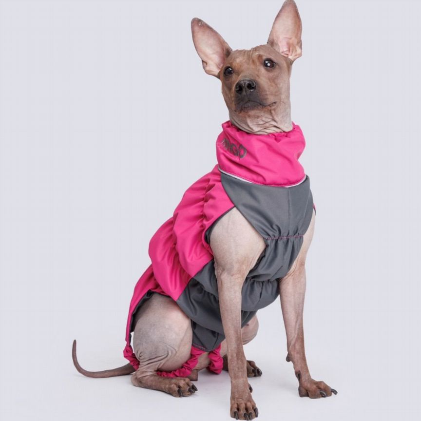 Жилетка для маленьких собак