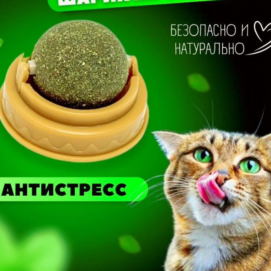 Кашачья мята 100% натуральная