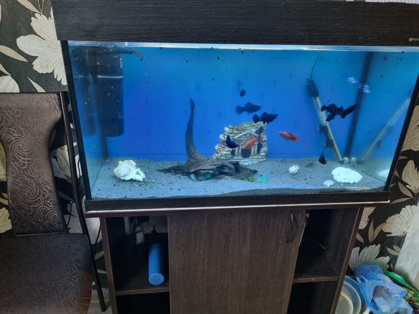 Аквариум с тумбой акваплюс