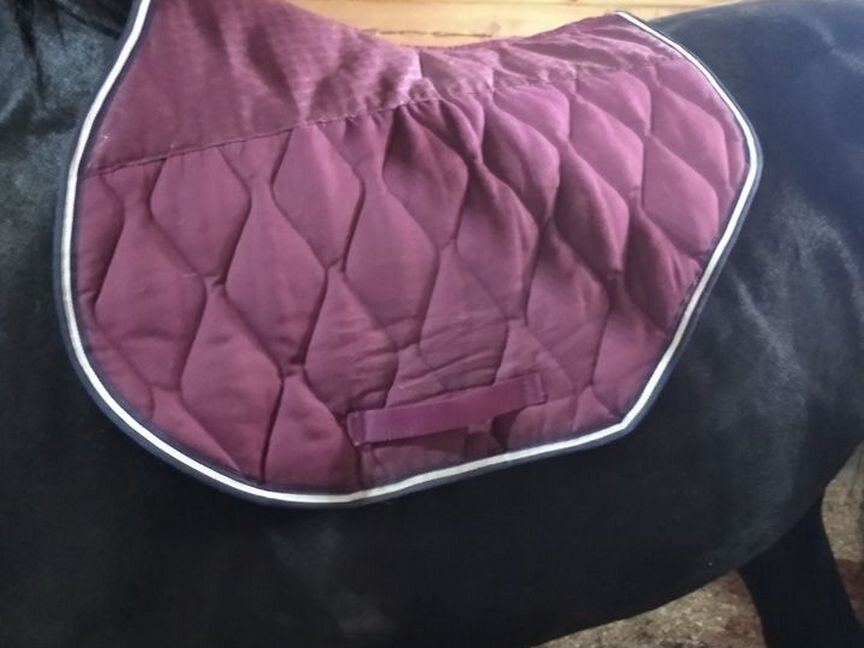 Вальтрап и ногавки