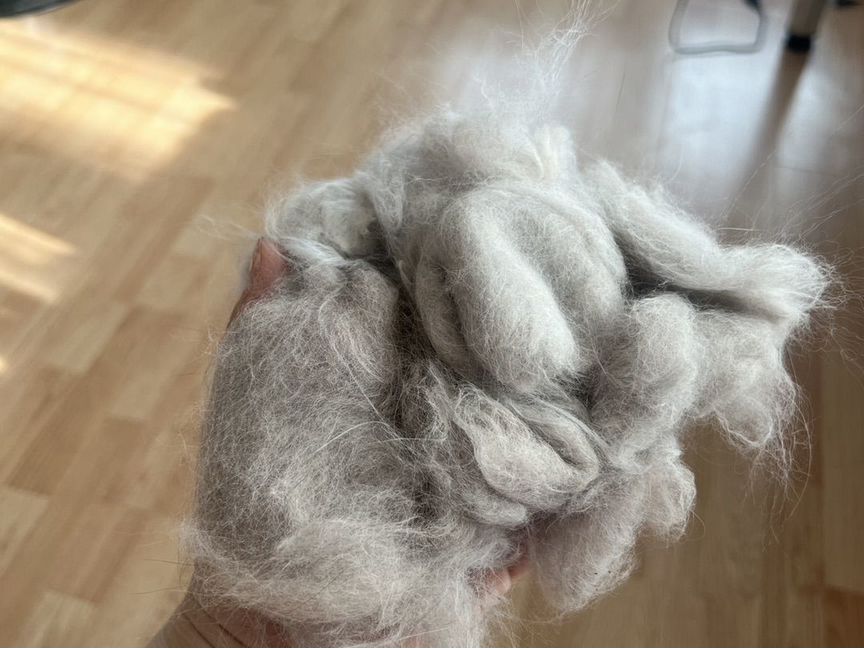 Кошачья шерсть