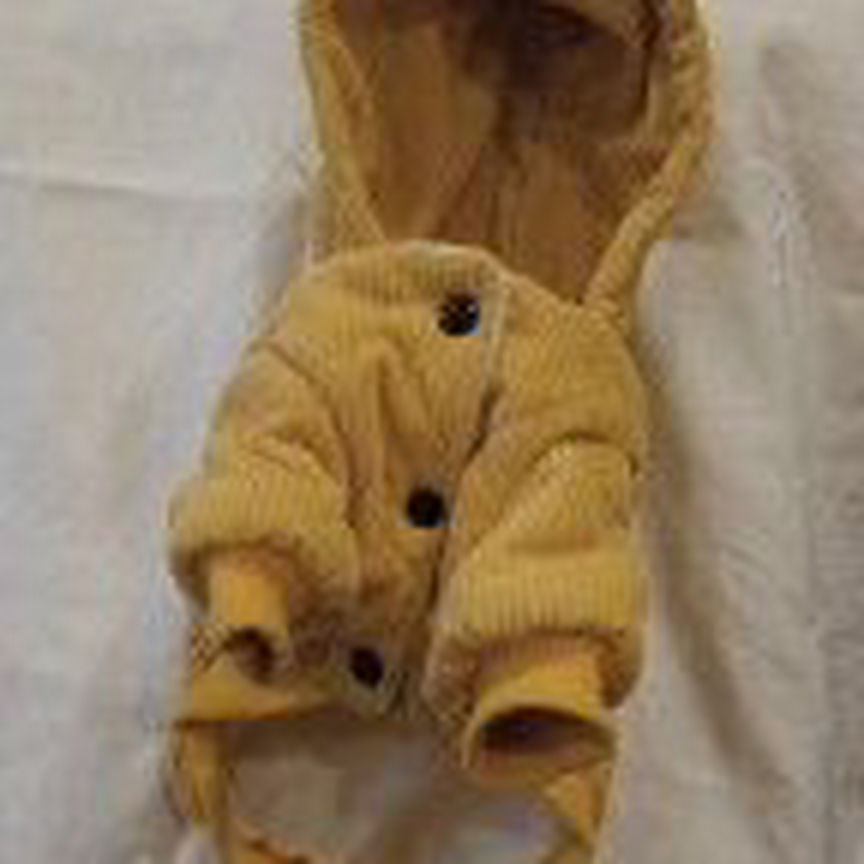 Одежда для собачки или щенка