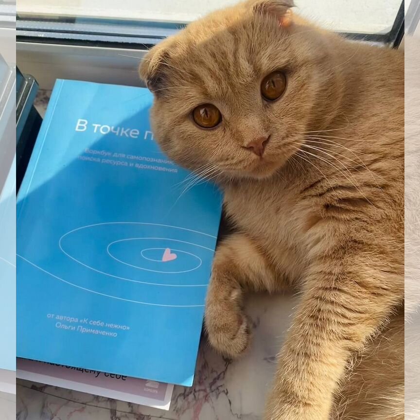 Красивый Британец