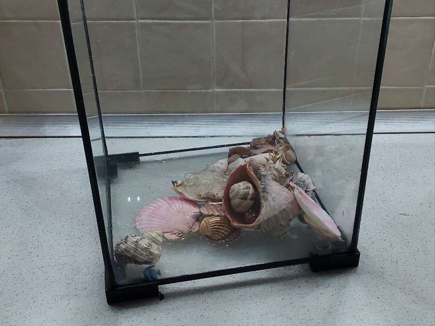 Аквариум для рыбок