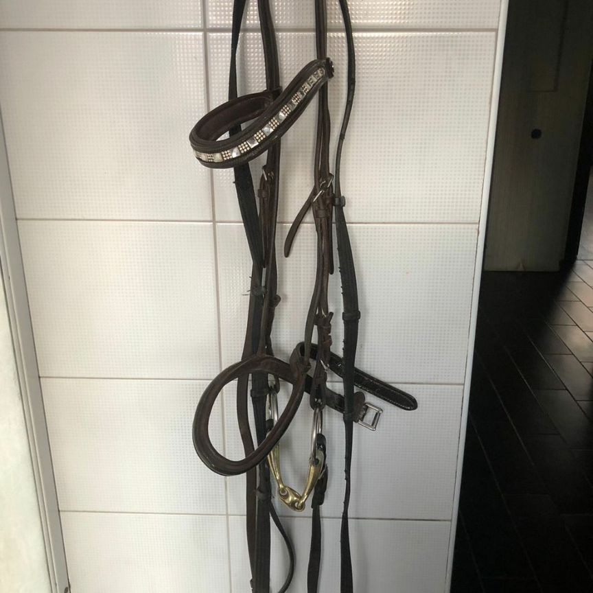 Лошадиная уздечка