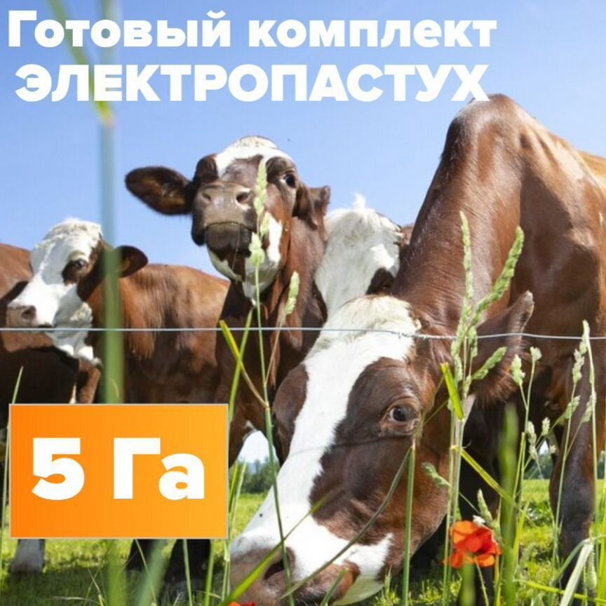 Электропастух на 5 Га