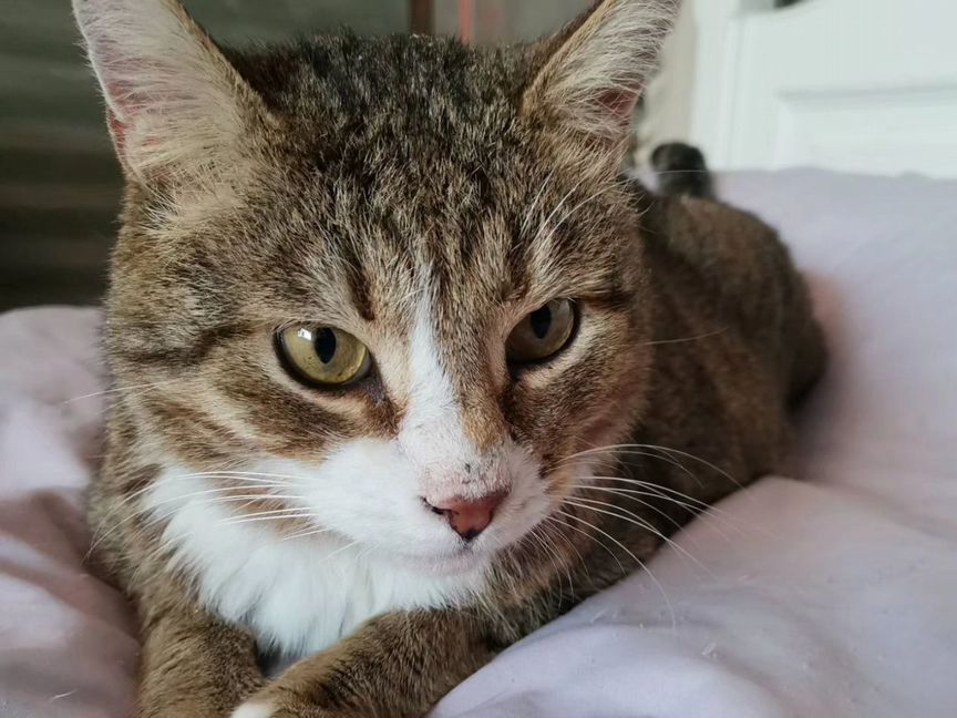 Сеню никто не замечает