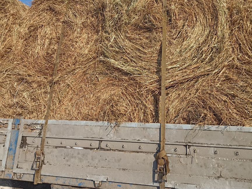 Сено в рулонах