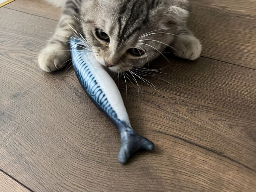 Игрушки для кошек