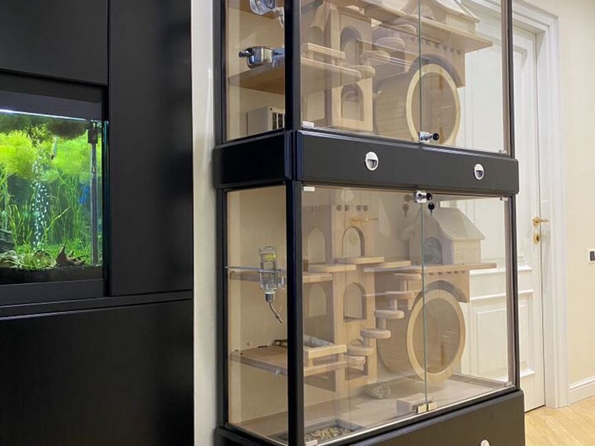 Буковая витрина для шиншилл, Дегу «Джуманджи-3»