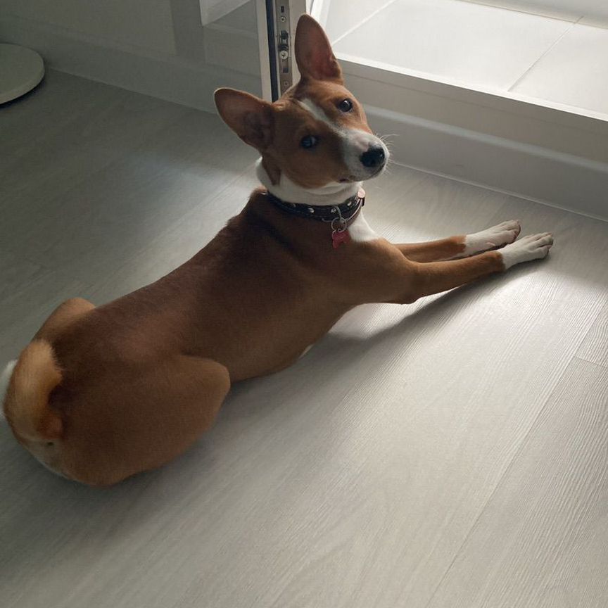 Девочка в самые добрые и заботливые ручки